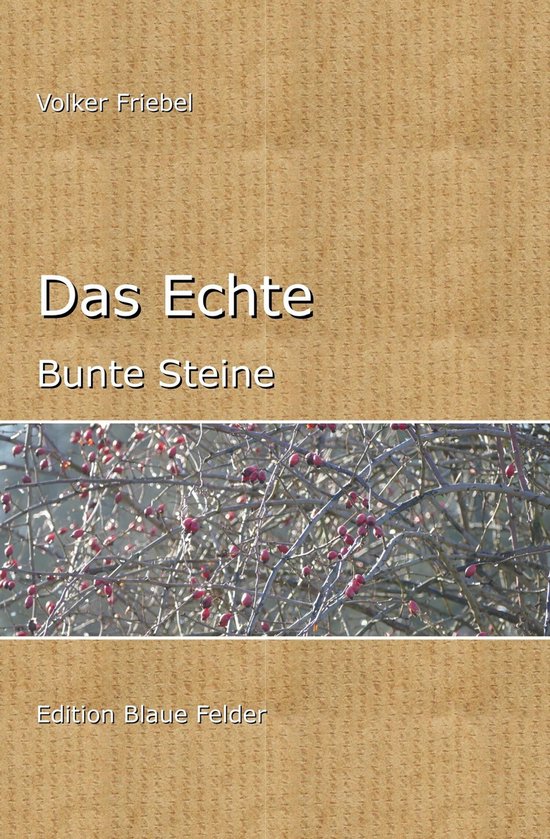 Das Echte (ebook), Volker Friebel | 9783754653494 | Boeken | bol
