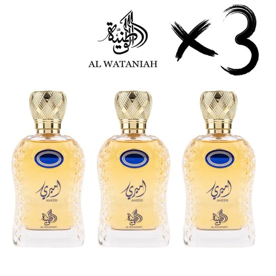 AL WATANIAH 3 X Perfume AMEERI, 100ml | bol