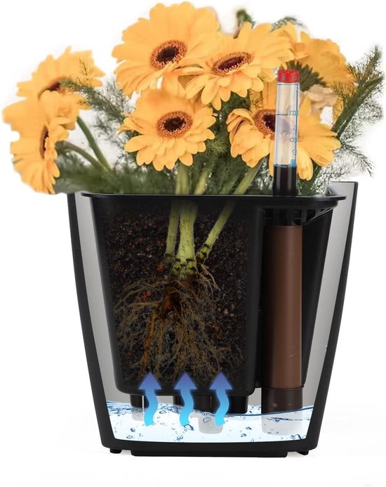 4 x zelfbewateringspot met waterniveau-indicatoren - kruidenpot ...