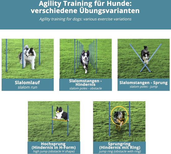 Agility Voor De Hond - Agility Set - Agility Hond - Behendigheid Hond ...