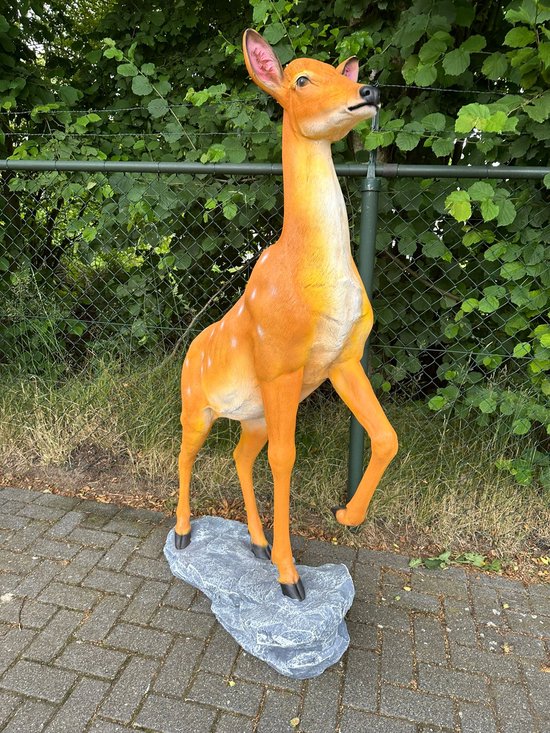 Goodyz - Dieren - Hert - Vrouwtjeshert - Hinde - op Rots - Size XXXL ...