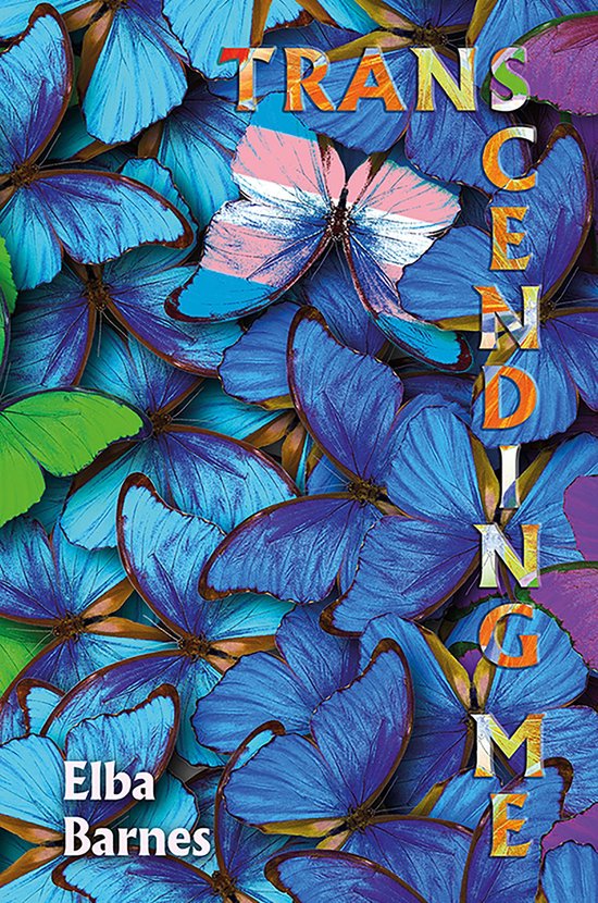 Transcending Me (ebook), Elba Barnes | 9780463983560 | Boeken | bol