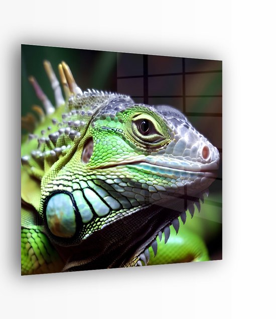 Indoorart - Glasschilderij Leguaan 100x100 CM - Afbeelding op plexiglas ...