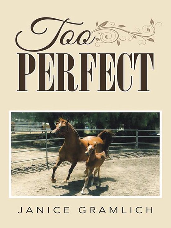 Too Perfect (ebook), Janice Gramlich | 9781491765432 | Boeken | bol.com