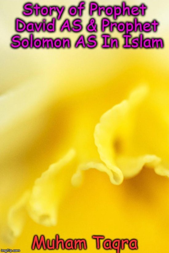 Story of Prophet David AS & Prophet Solomon AS In Islam (ebook), Muham ...