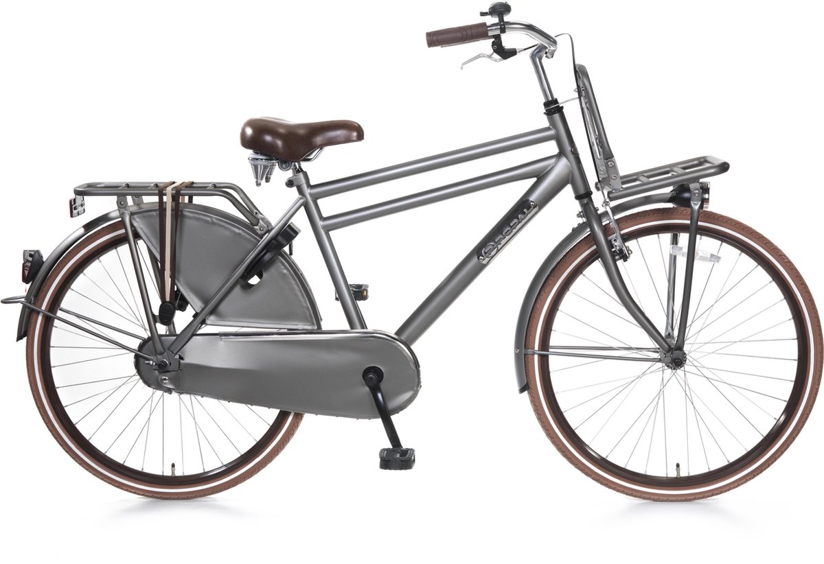 Popal Daily Dutch Basic Fiets - Jongens - Titanium - 46 cm | bol.com