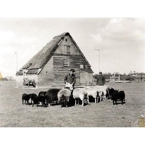 Texel. Van oud naar Nieuw. Restauratie van 10 Texelse schapenboeten ...