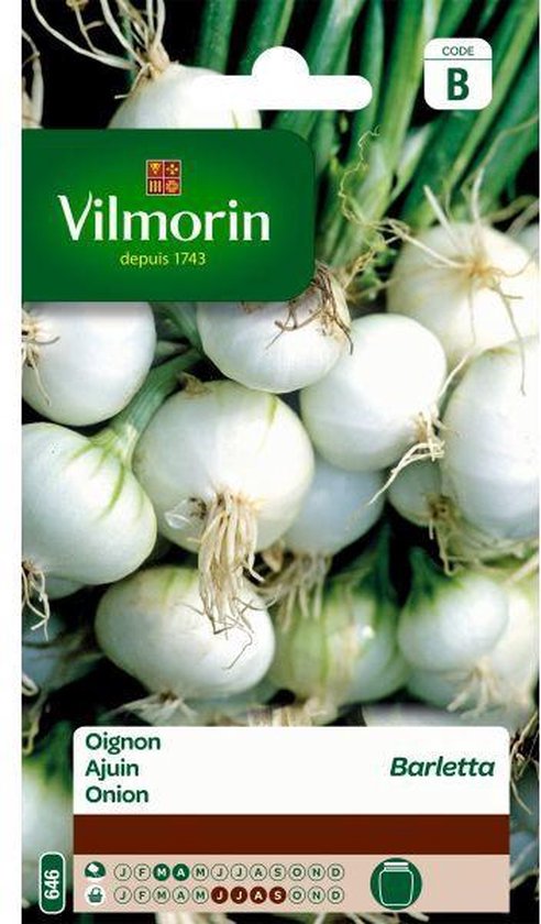 Ajuin Witte Barletta | bol