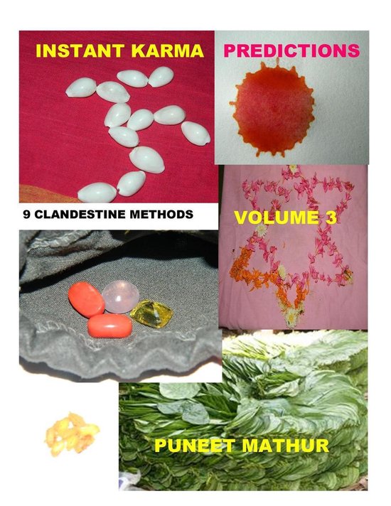 Instant Karma Predictions Clandestine 9 More Methods (ebook), Puneet ...