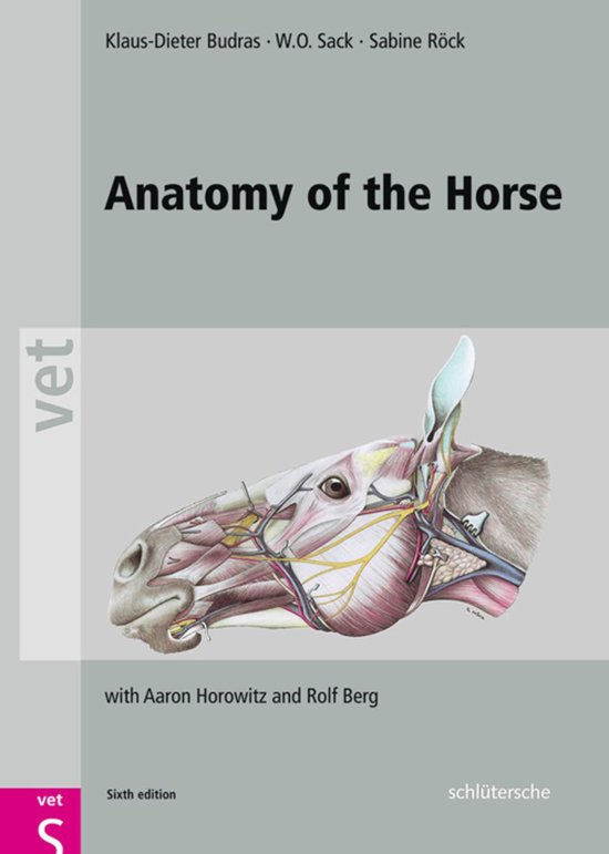 Anatomy of the Horse (ebook), Sabine Rock | 9783842683686 | Boeken | bol