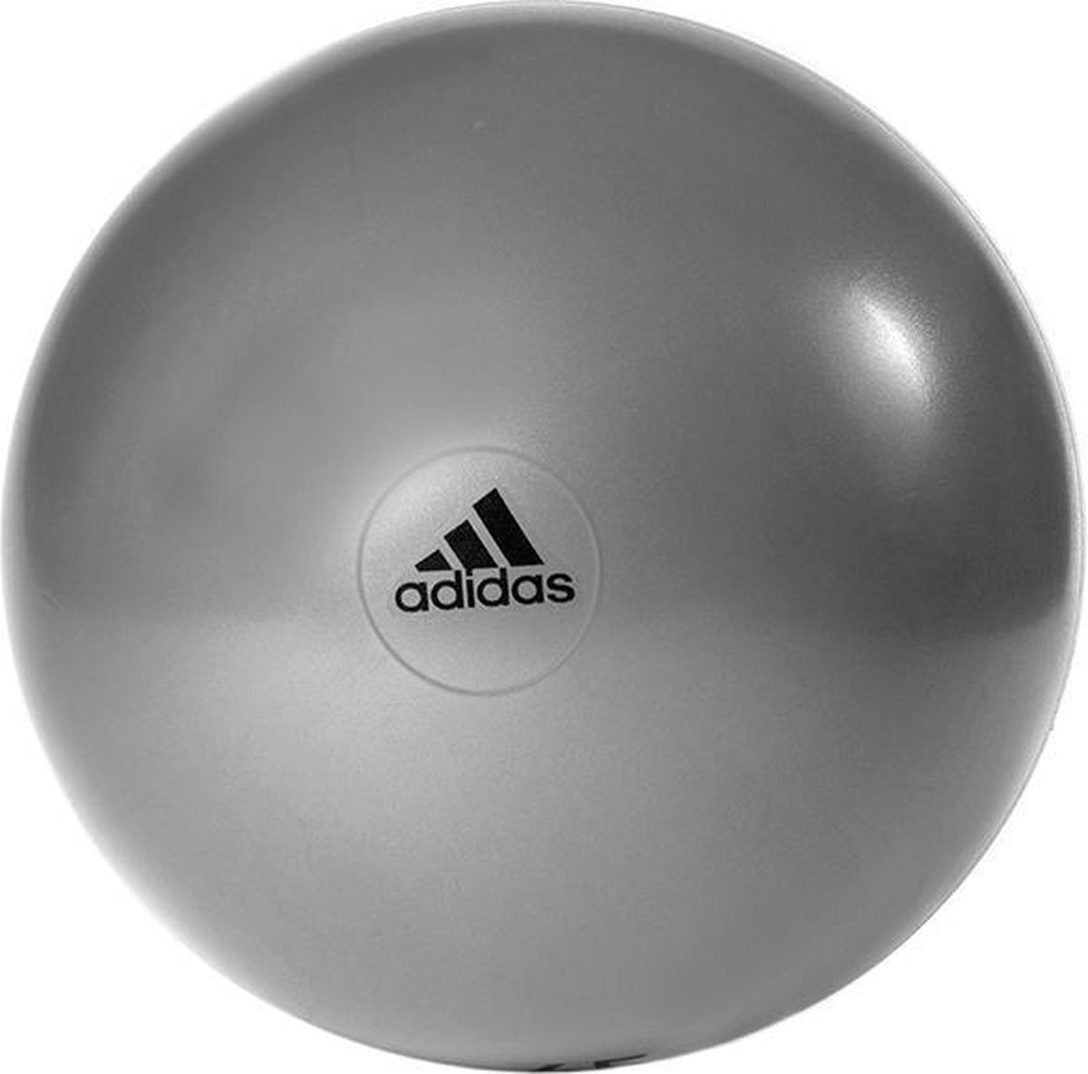 Adidas Gymball Grey 75cm | bol.com