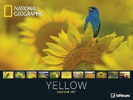 National Geographic Calendar Yellow 2017 | 4002725784261 | Boeken | bol.com
