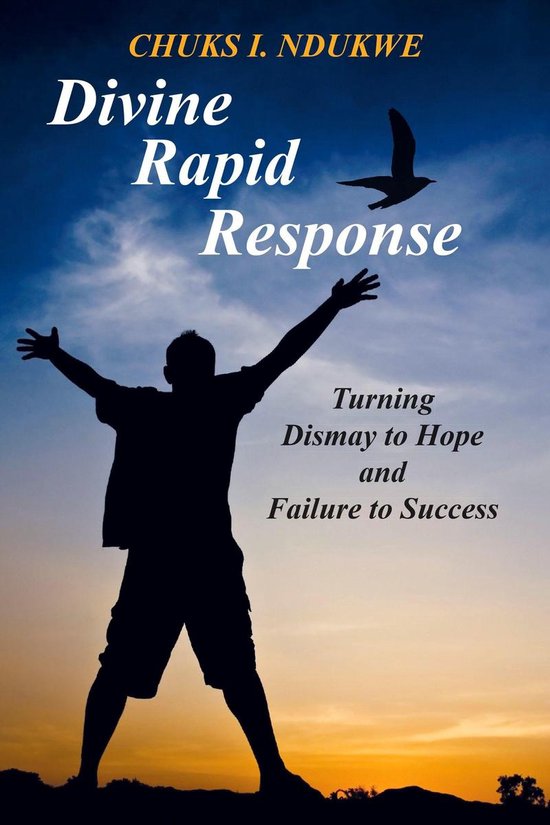 Divine Rapid Response (ebook), Chuks I Ndukwe | 9781370351190 | Boeken | bol.com