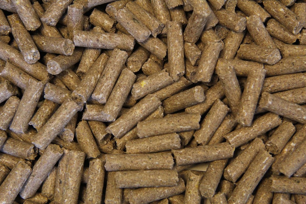 Voermeesters Basis - Paardenvoer - 20 kg | bol.com