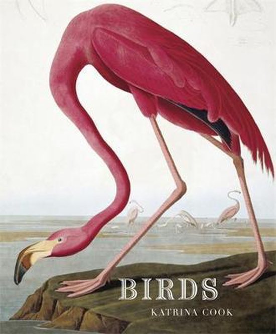 Birds, Katrina Cook | 9781847241993 | Boeken | bol