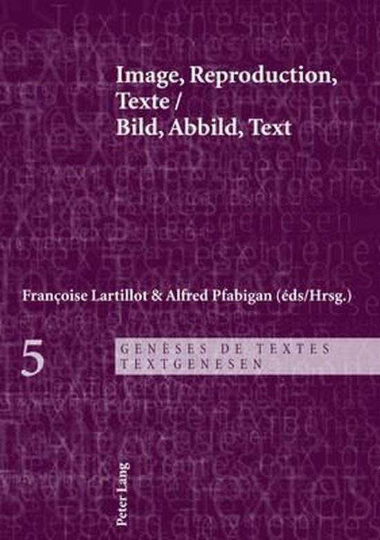 Image, Reproduction, Texte. Bild, Abbild, Text | 9783034306942 | Boeken ...