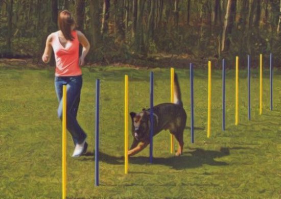 Topmast Agility Slalom set | bol