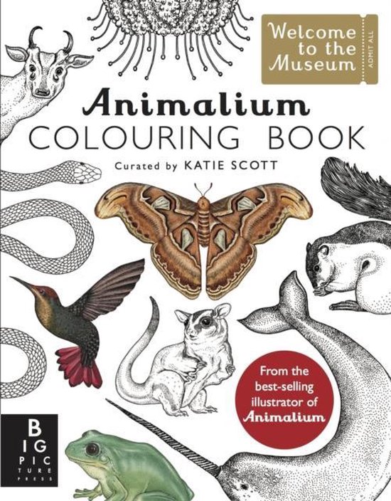 Animalium Colouring Book, Kate Baker | 9781783706129 | Boeken | bol.com