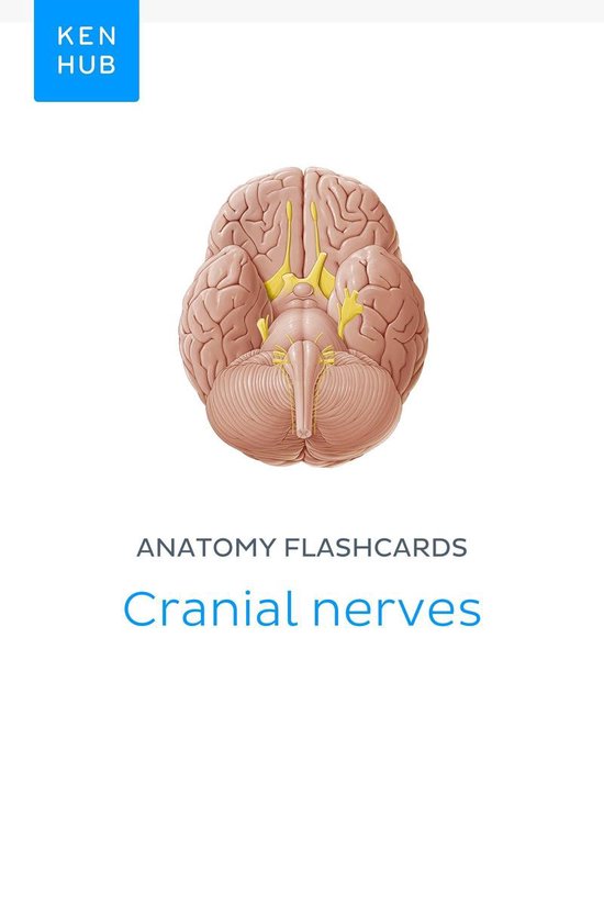 Anatomy flashcards: Cranial nerves | bol.com