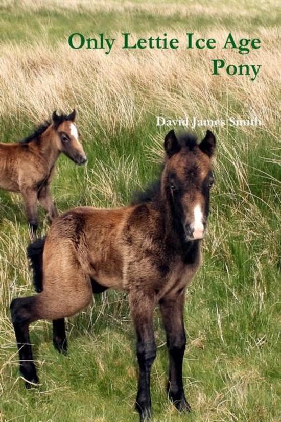 Only Lettie Ice Age Pony | 9781326732639 | David James Smith | Boeken | bol