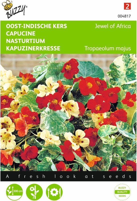 Oost-Indische kers Jewel of Africa - Tropaeolum majus - set van 8 stuks | bol.com