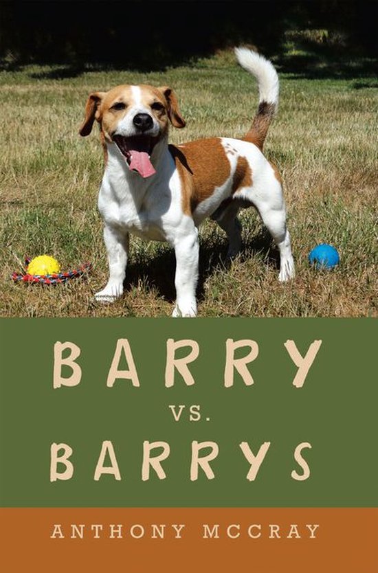 Barry Vs. Barrys (ebook), Anthony Mccray | 9781532070945 | Boeken | bol.com