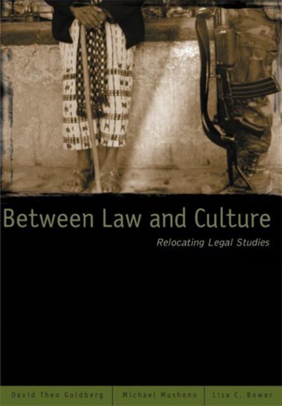 Between Law And Culture | 9780816633807 | David Theo Goldberg | Boeken ...