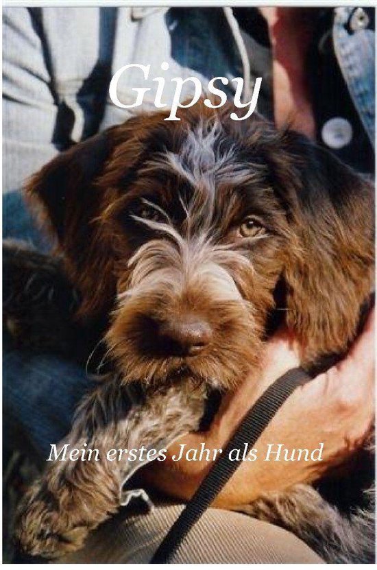 Gipsy - Mein erstes Jahr als Hund (ebook), Siegfried Schneider ...