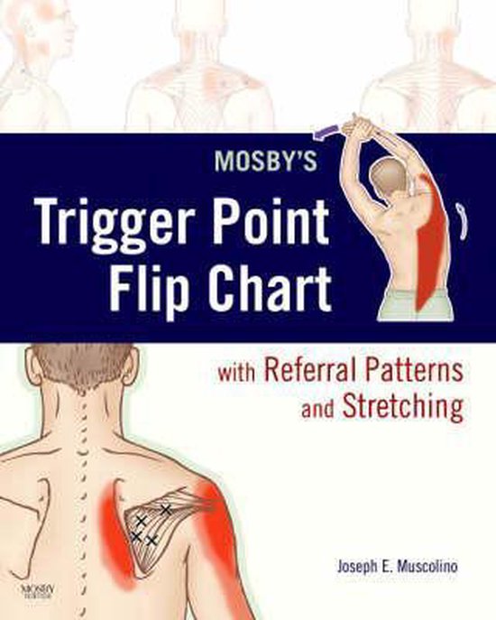 Mosby's Trigger Point Flip Chart with Referral Patterns and Stretching ...