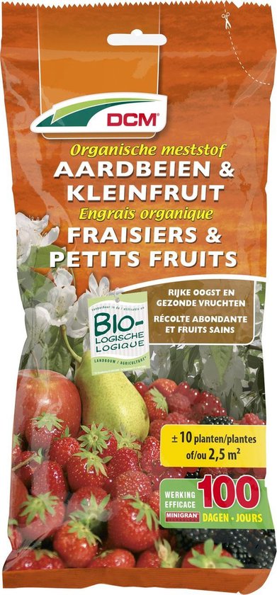 DCM Aardbei Kleinfruit 0,2 kg | bol