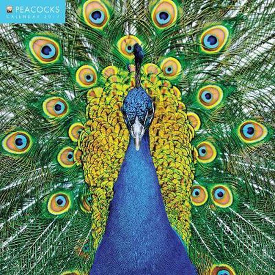 Peacocks wall calendar 2017 (Art calendar) | bol.com