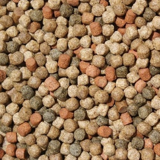 Koivoer Japanse Mix (2KG)(6mm) | bol