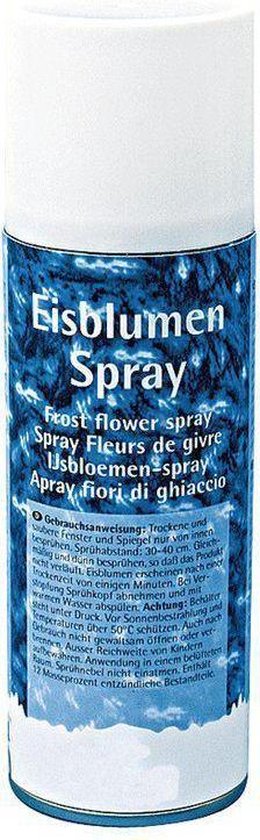 Rayher Hobby IJsbloemen sneeuwspray - busje 150 ml - raamspray ...