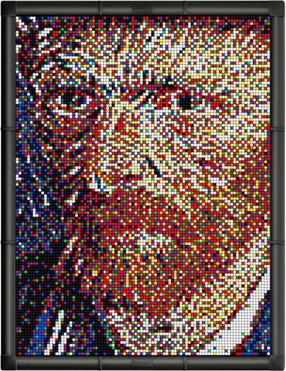 Quercetti Pixel Art Foto 54 X 41 Cm 14800-delig | bol.com