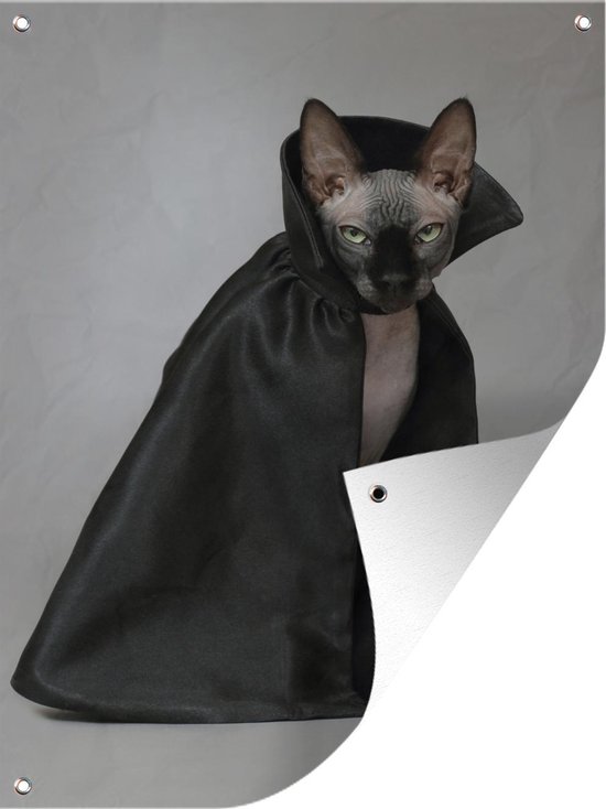 Tuin decoratie Kat - Cape - Zwart - 30x40 cm - Tuindoek - Buitenposter ...