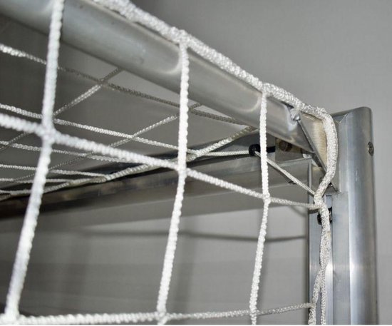 2 * Aluminium Pro Goal 250 x 100 cm incl. net | bol