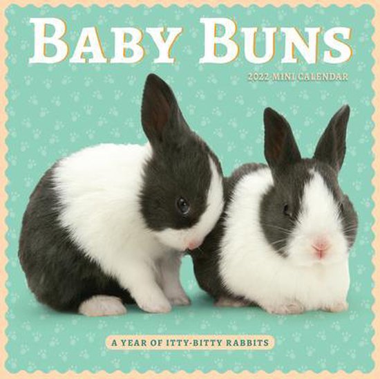 Baby Buns Mini Wall Calendar 2022: A Year of Itty-Bitty Rabbits ...