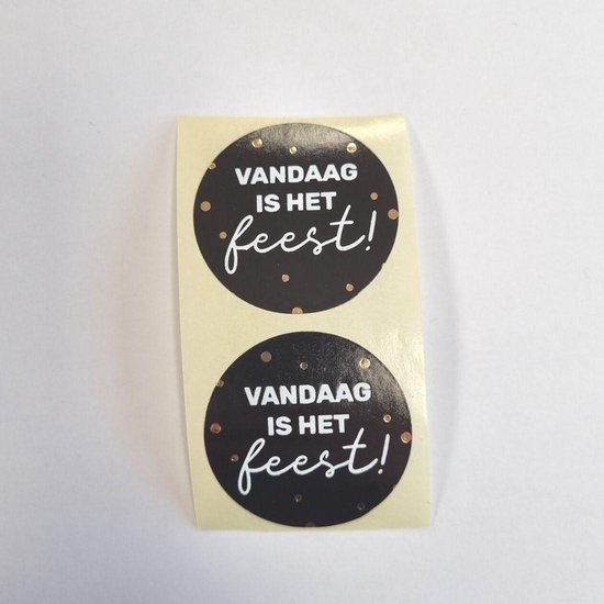 Cadeausticker vandaag is het feest - Sluitsticker - Traktatiesticker - Wensetiket -... | bol