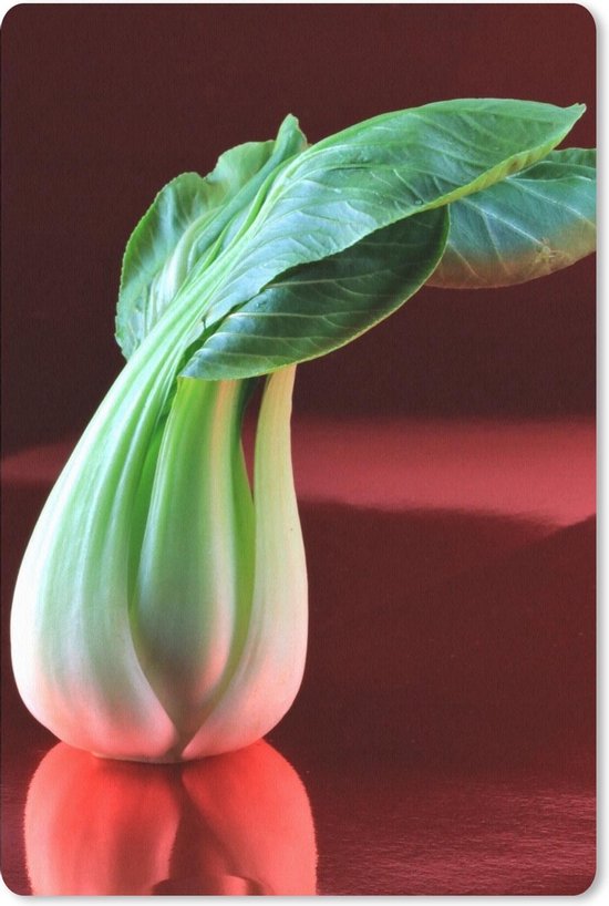 Staande paksoi rode achtergrond | bol.com