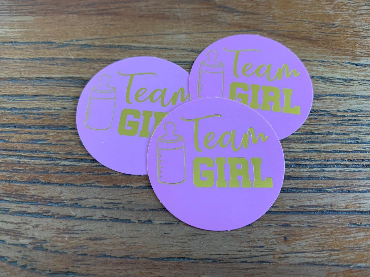Stickers Team Boy/Team Girl Gender Reveal Babyshower - 24 stickers (12x ...