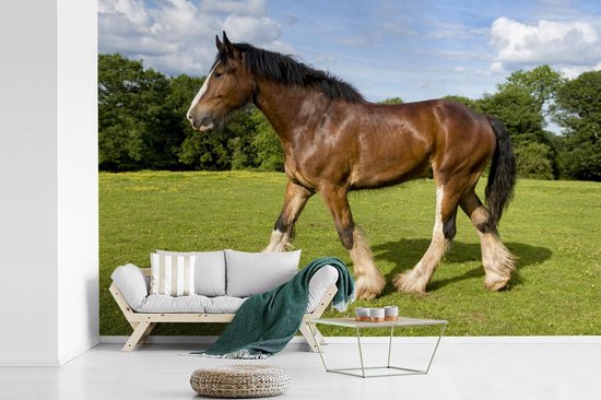 Behang - Fotobehang - Lopend Shire paard in een groen veld - Breedte ...