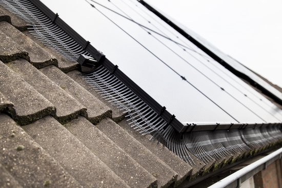 Solarguard Pro Vogelwering Opdaksysteem - 20 meter - Voor 35 mm Clips ...