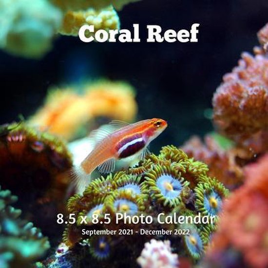 Coral Reef 8.5 X 8.5 Calendar September 2021 -December 2022 | bol.com