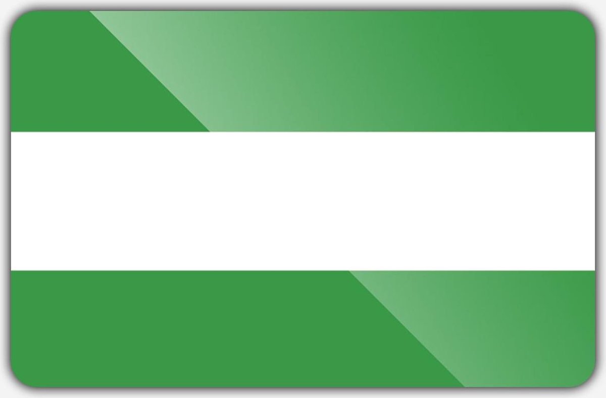 Vlag gemeente Rotterdam - 200 x 300 cm - Polyester | bol.com