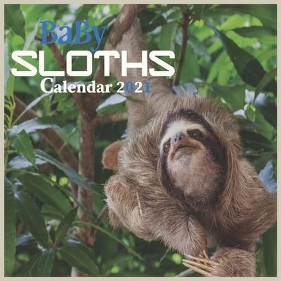 Baby Sloths Calendar 2021, N&A Art Publishing | 9798720677190 | Boeken ...
