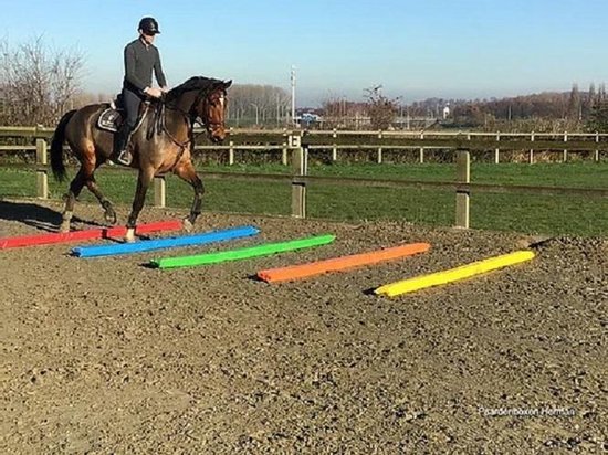 SOFT-POLES Set van 5 | bol