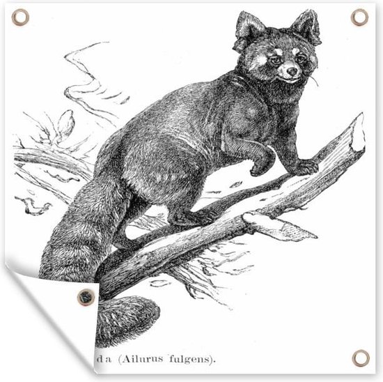 Muurdecoratie buiten Een zwart-wit tekening van een Rode panda ...