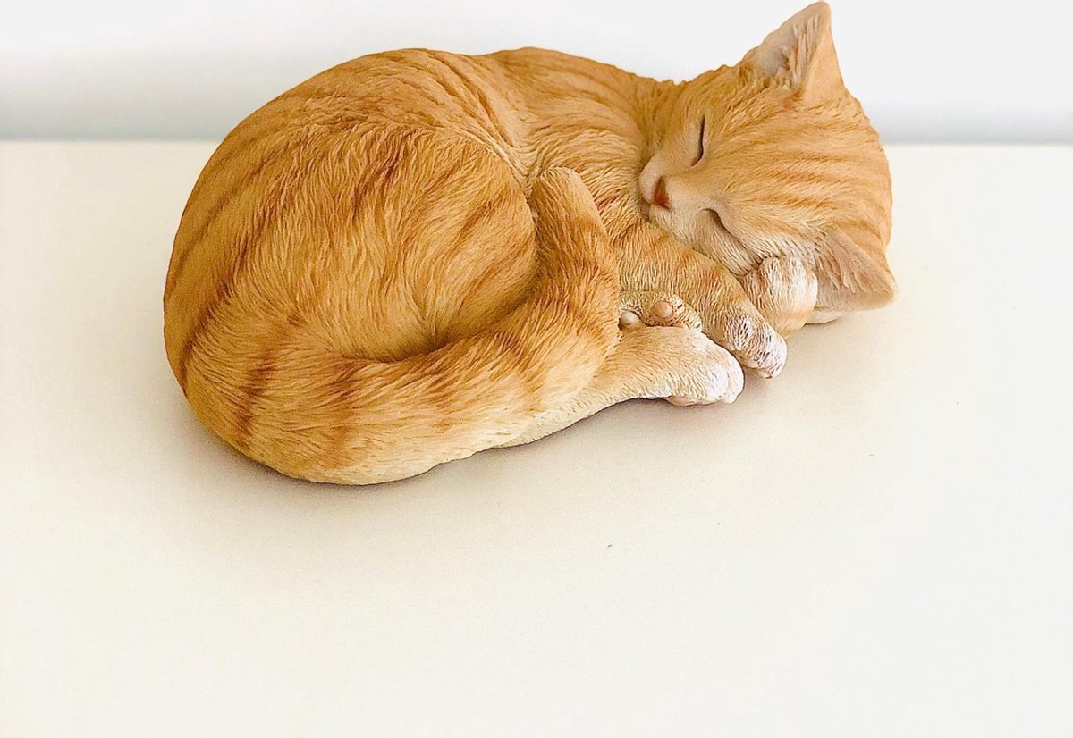 Slapende poes - kat - rood - ros - polystone - polyester - beeld ...