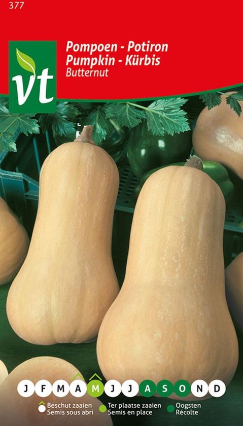 Pompoen 'Butternut' Zaden - Zoete en Romige Pompoenen voor Soepen ...