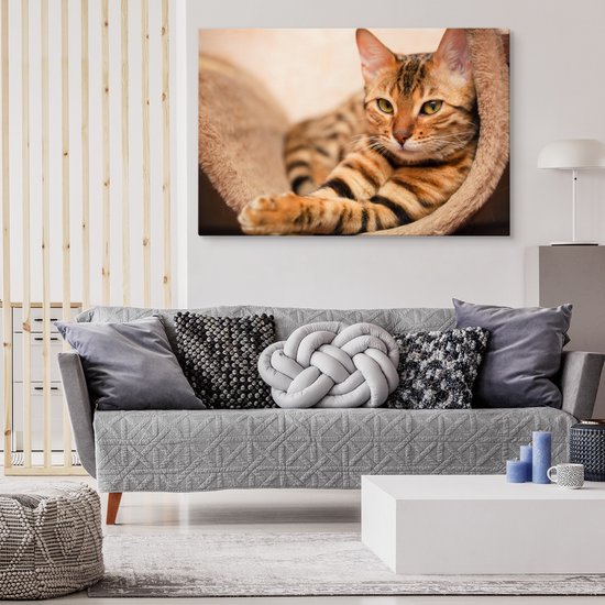 Schilderij - Bengaalse Kat, Premium Print, 5 maten | bol